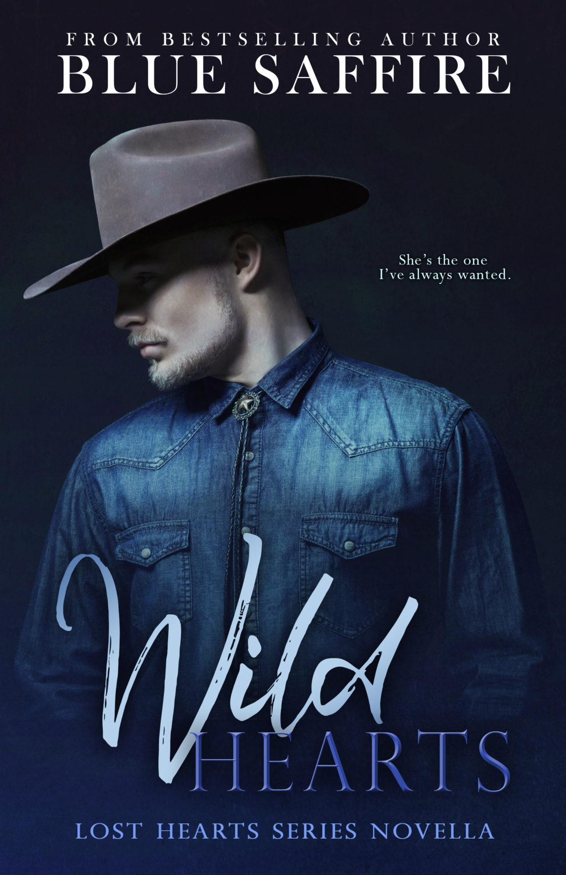 Wild Hearts – Ebook | Blue Saffire